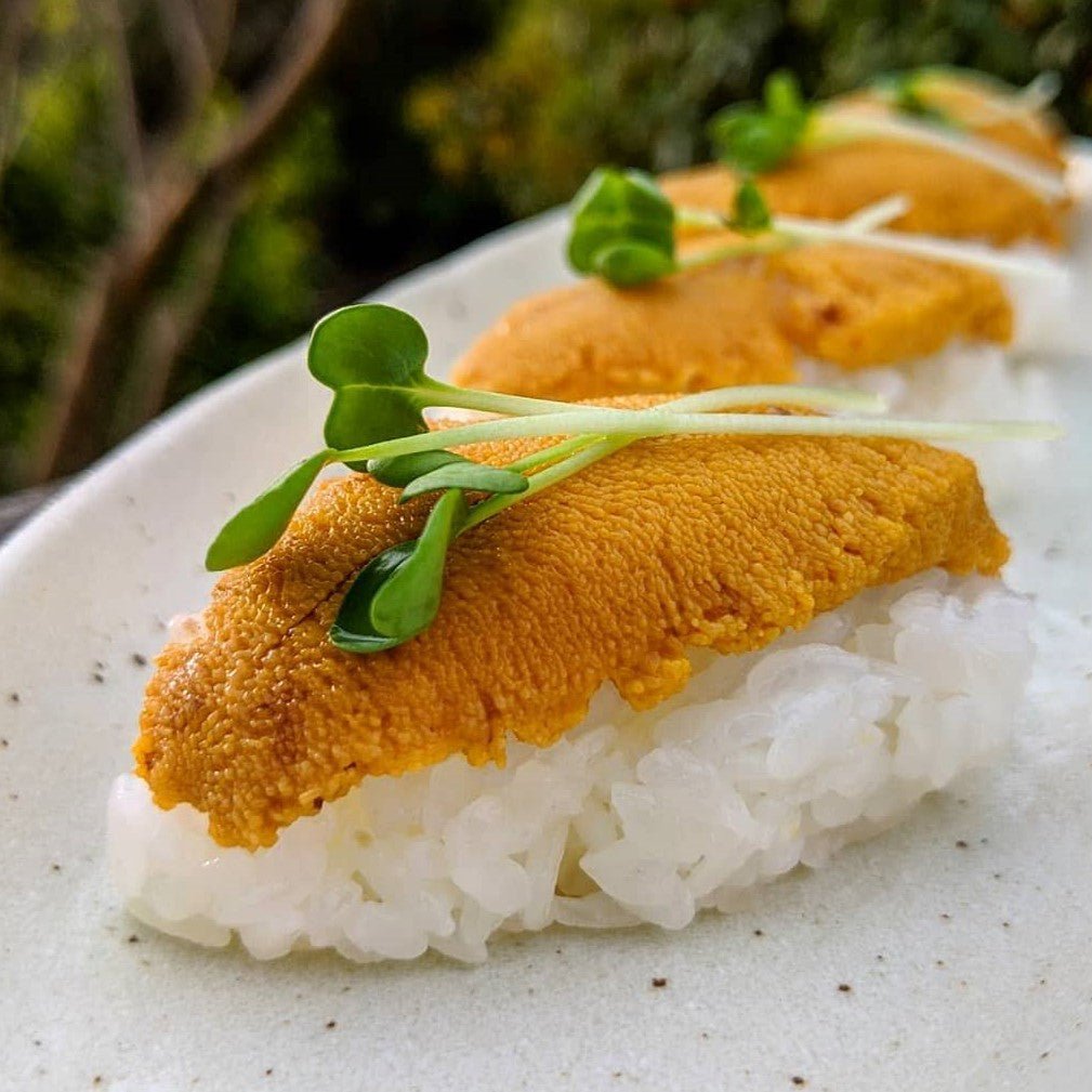 Urchin Sashimi