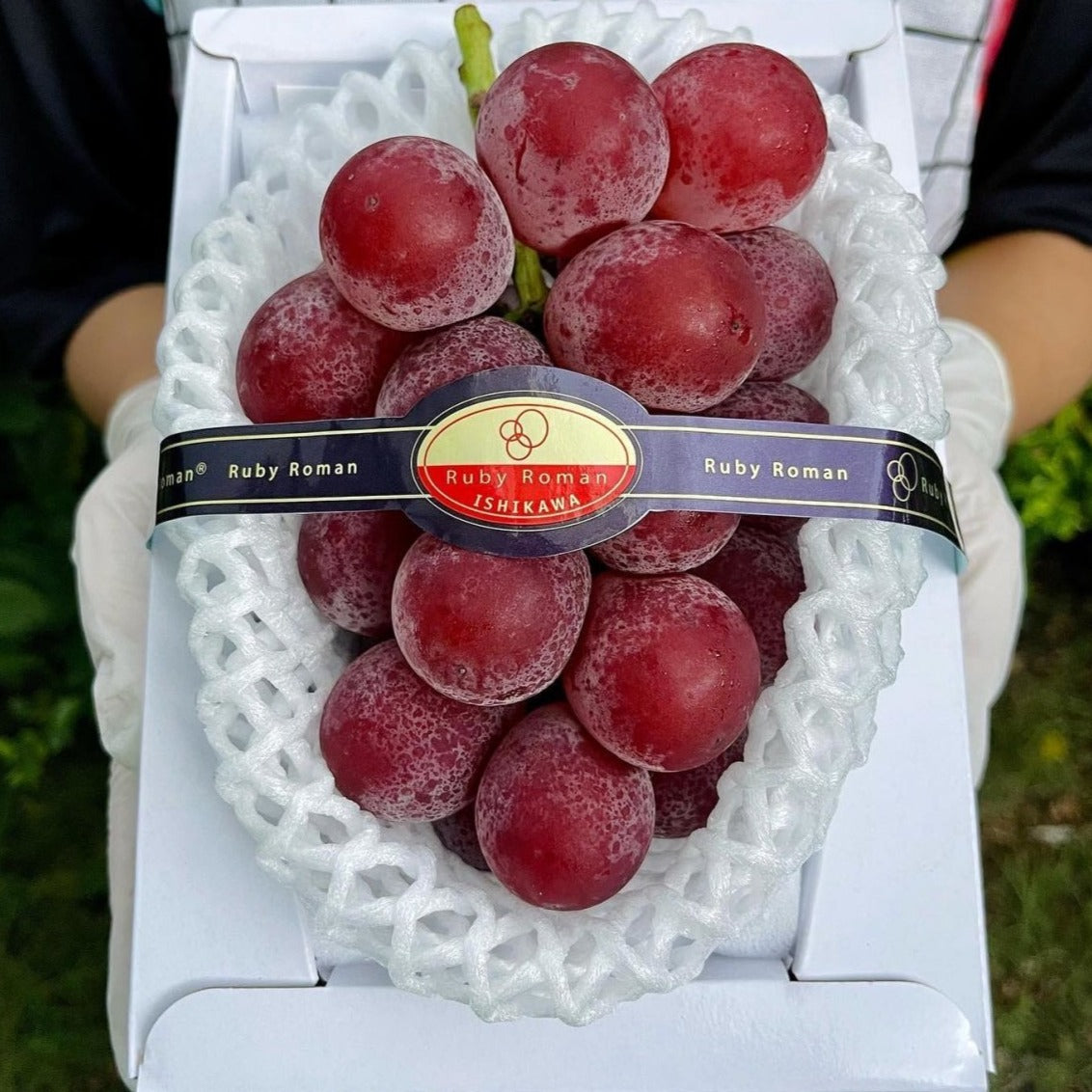 Ruby Roman Grapes - Special Reserve! | Pacific Wild Pick