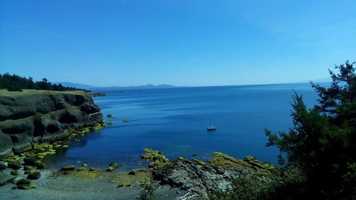 Fresh Seafood | Pacific Wild Pick