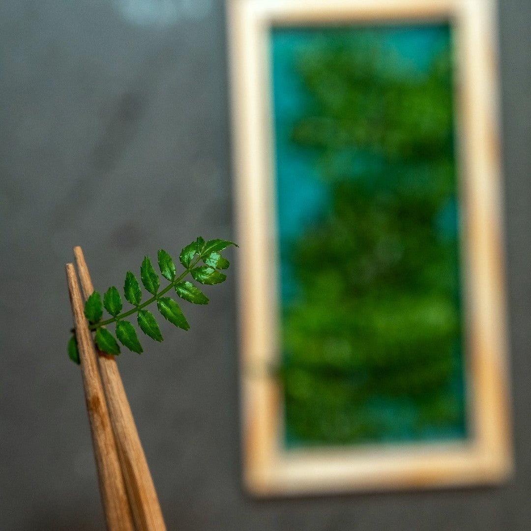 Fresh Kinome 木之芽 | Pacific Wild Pick