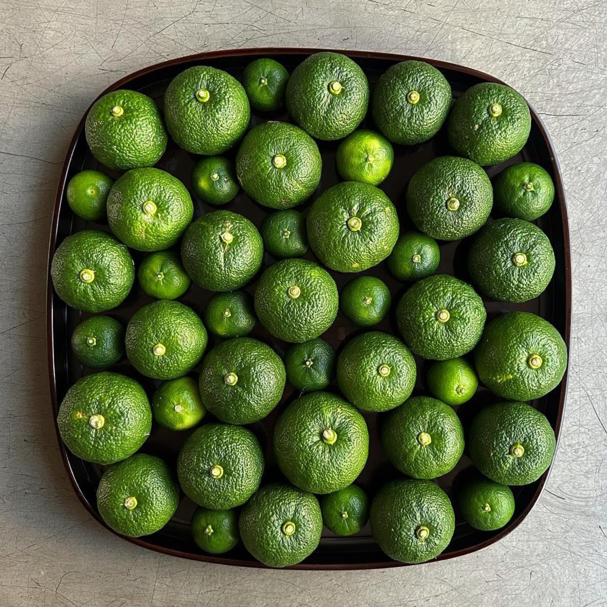 Fresh Sudachi from Japan 酢橘 | Pacific Wild Pick