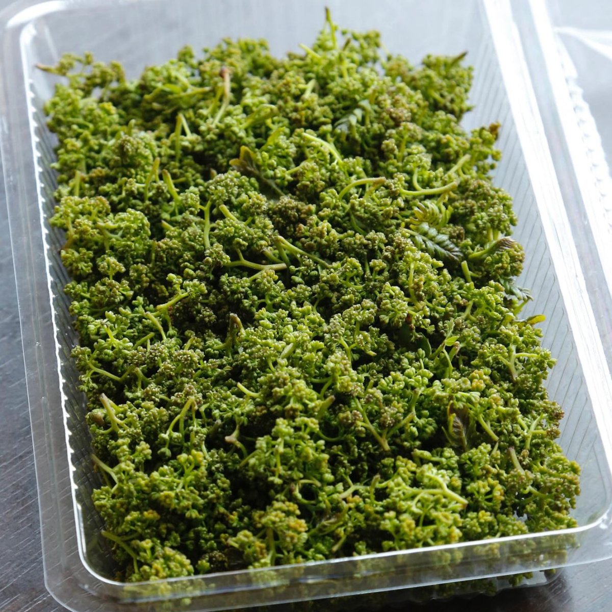 Hana Sansho Flower Pepper | Pacific Wild Pick