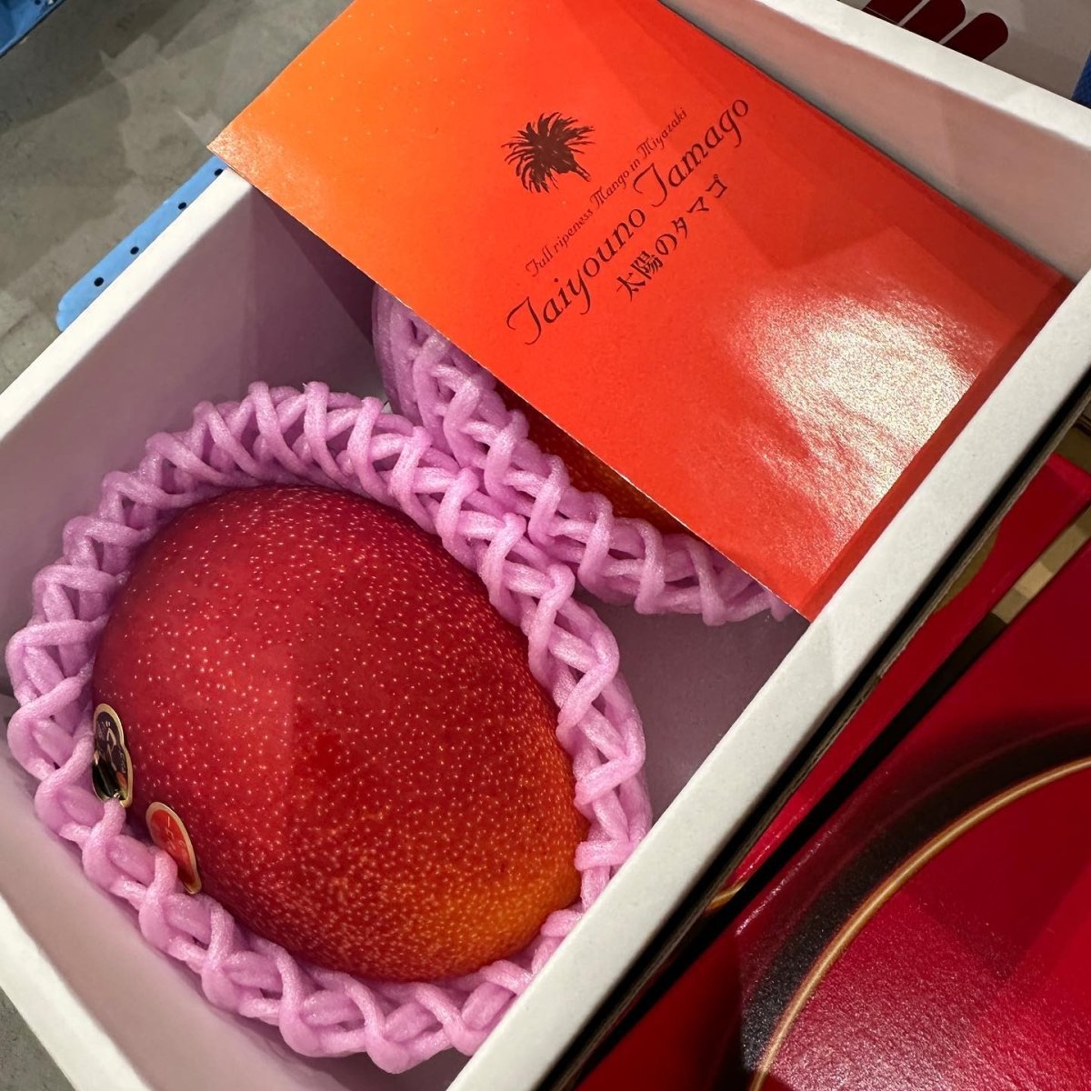 Miyazaki Mango - GIFT BOX | Pacific Wild Pick