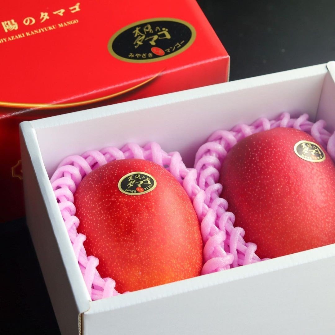 Miyazaki Mango - GIFT BOX | Pacific Wild Pick