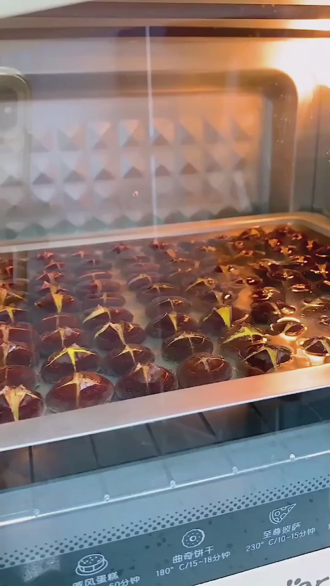 Japanese Chestnuts 栗 | Pacific Wild Pick
