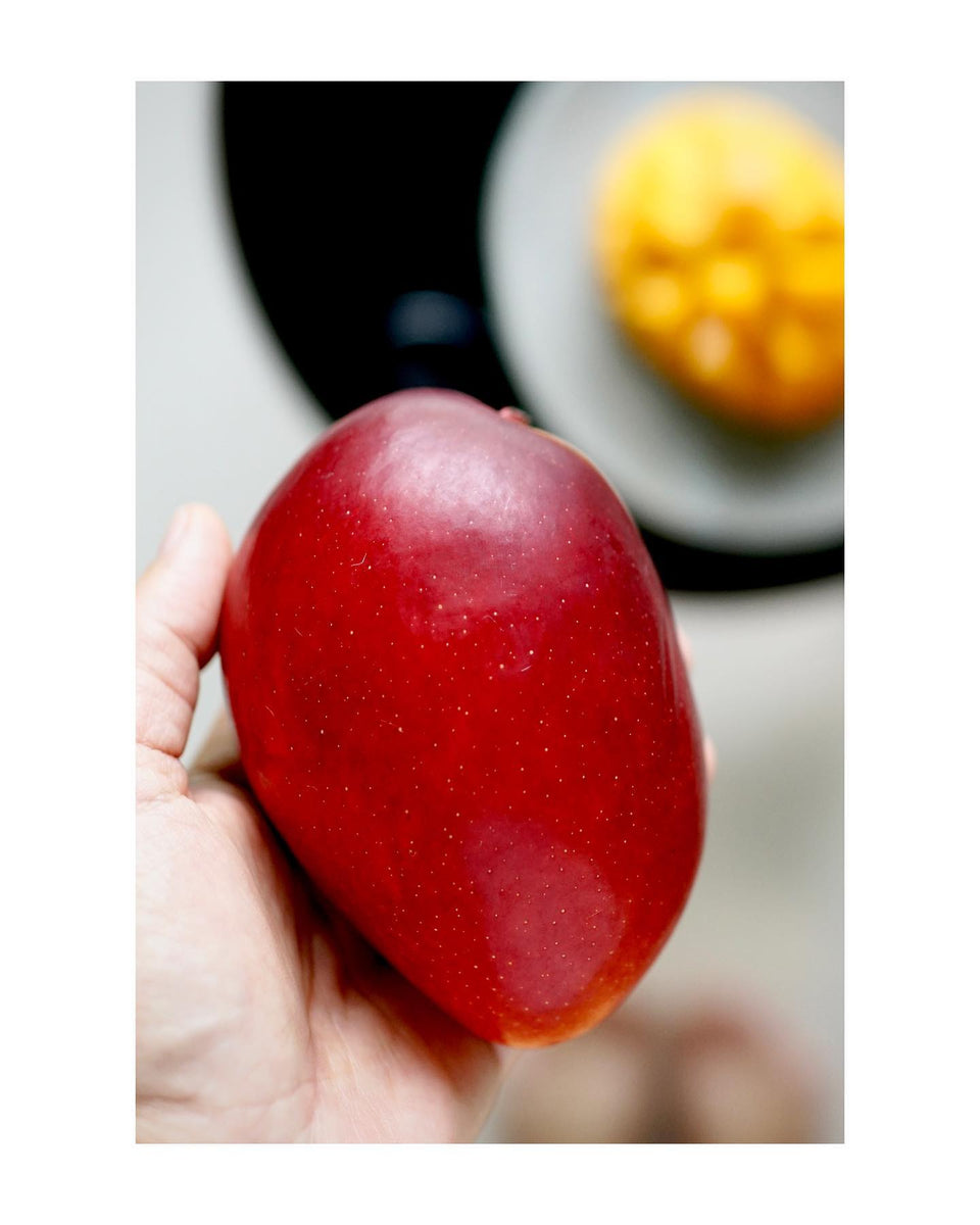 Egg of the Sun - Miyazaki Mango - SPECIAL RESERVE | Pacific Wild Pick