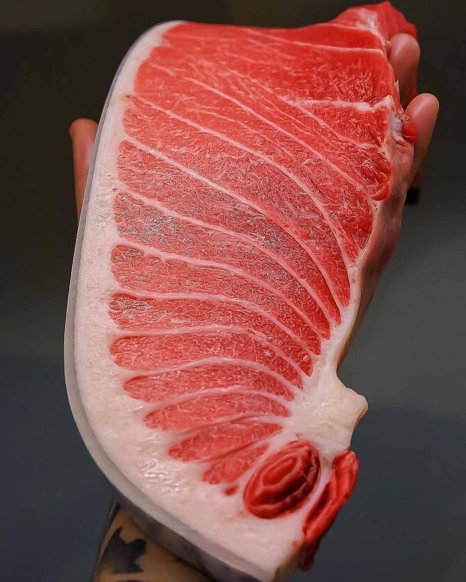 Whole Japanese Bluefin Tuna | Pacific Wild Pick