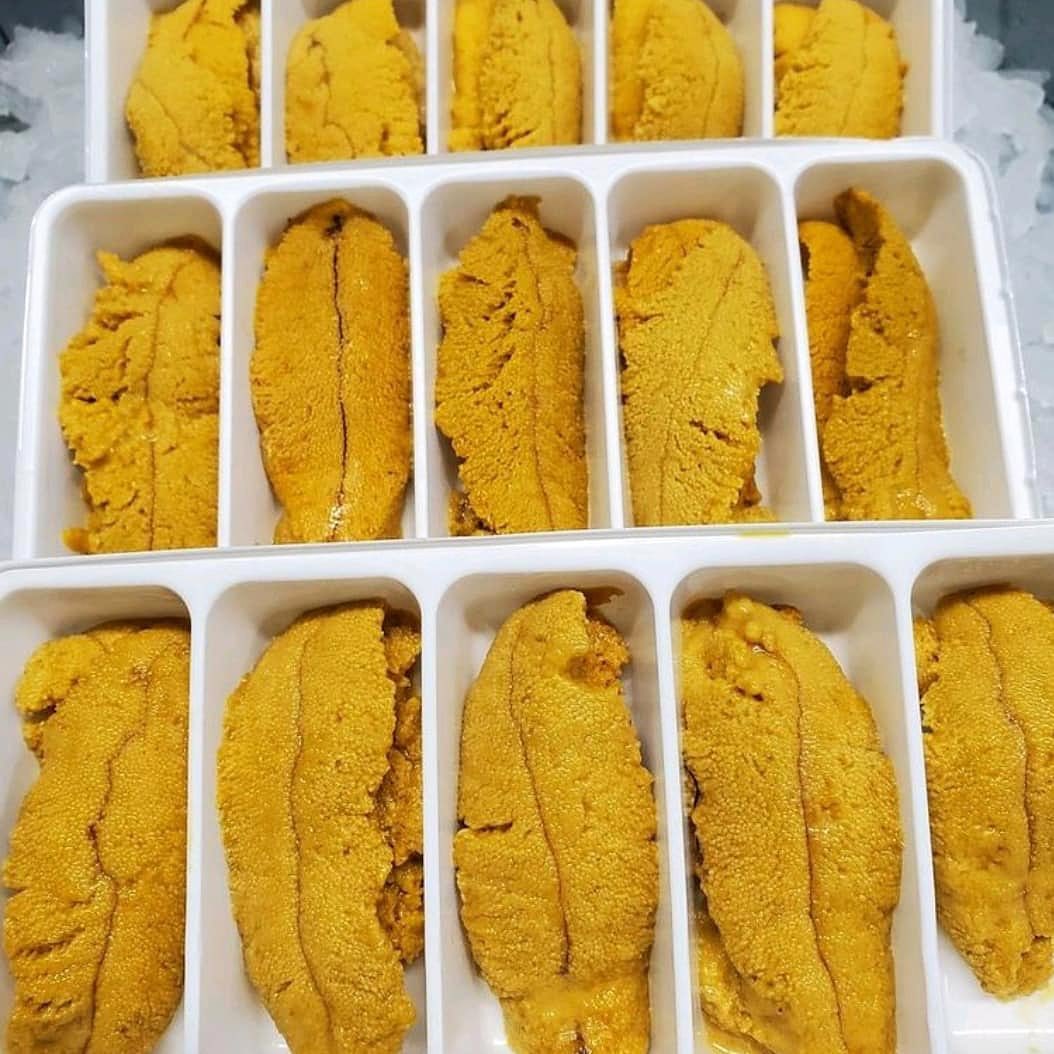 Fresh Santa Barbara Murasaki Uni Roe | Pacific Wild Pick