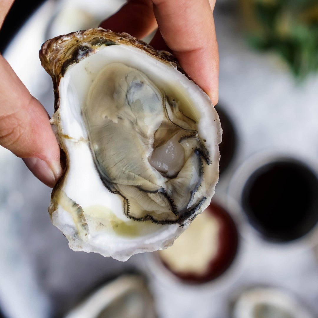 Blue Point Oysters | Pacific Wild Pick