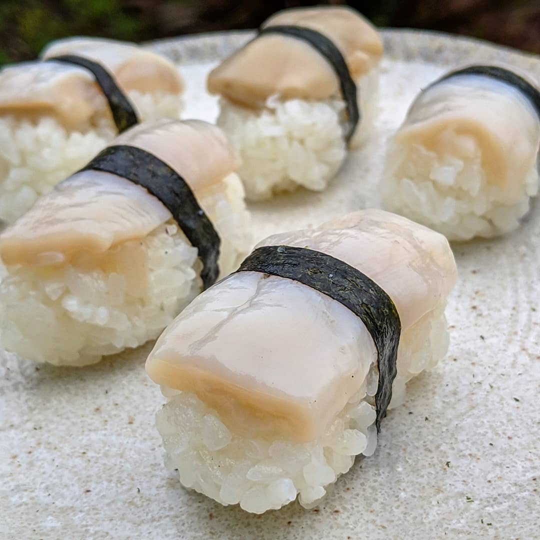 Chef Quality Geoducks | Pacific Wild Pick