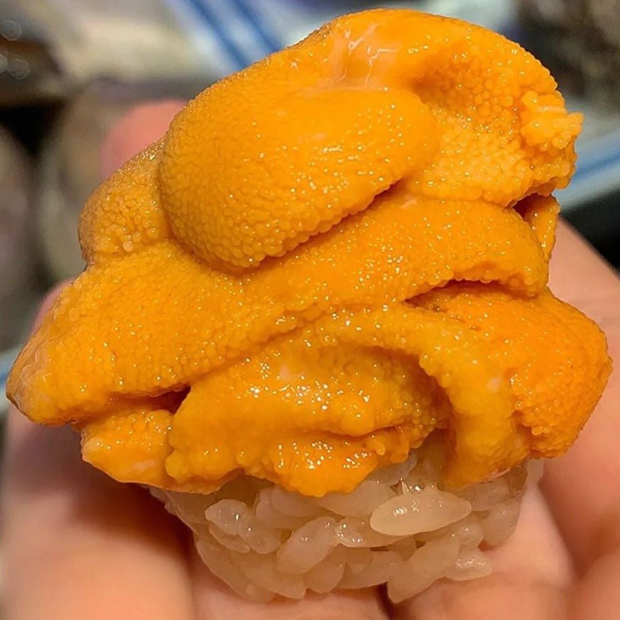 Hokkaido Ensui Uni-塩水ウニ | Pacific Wild Pick