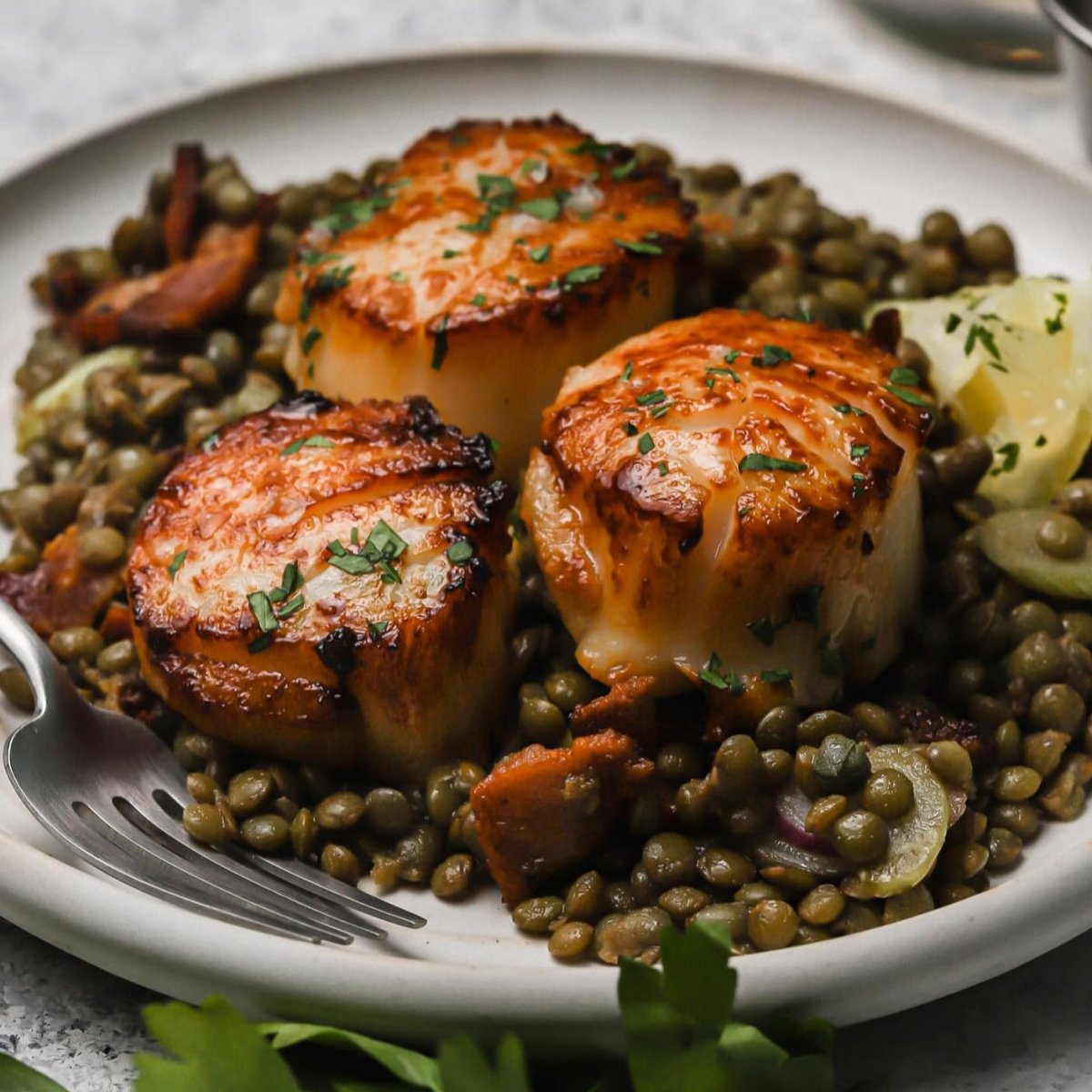 Japanese Hotate Scallops - Sashimi Grade | Pacific Wild Pick