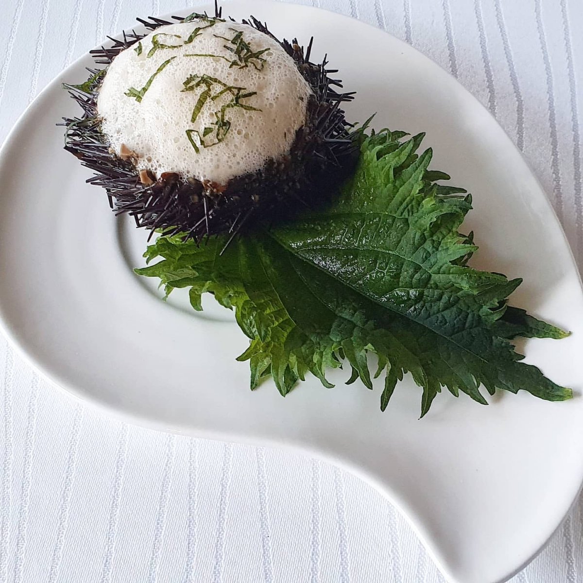 Shiso Leaf-Fresh - Oba | Pacific Wild Pick