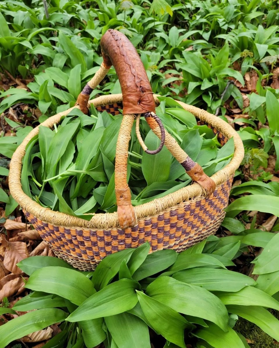 Wild Ramps - Next Day Shipping | Pacific Wild Pick
